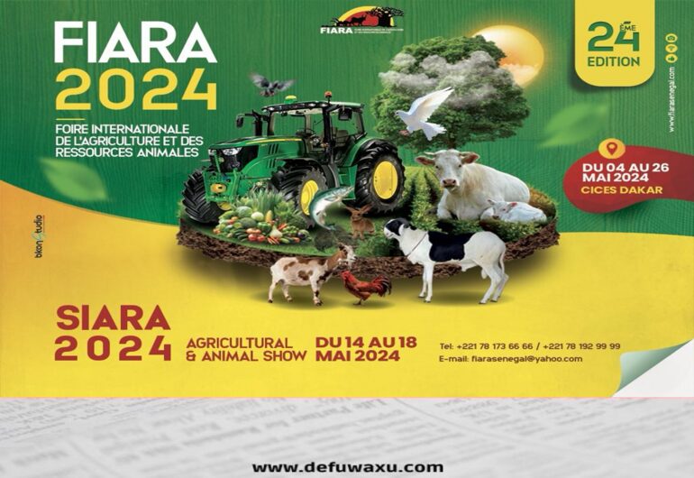 FIARA 2024 | Lu Defu Waxu